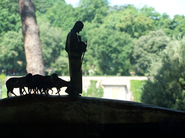Homily: The Good Shepherd Sunday - Indian Catholic Matters